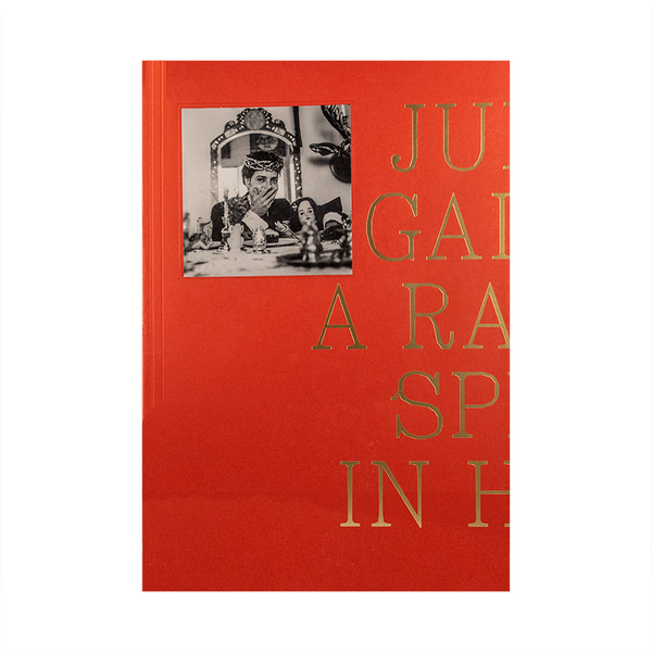 Catálogo Julio Galán: A rabbit split in half– MUSEO MARCO